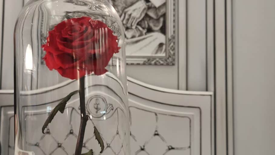 בית קפה פוראבר רוז - המקום לתמונה המושלמת | DUBAI 🌴