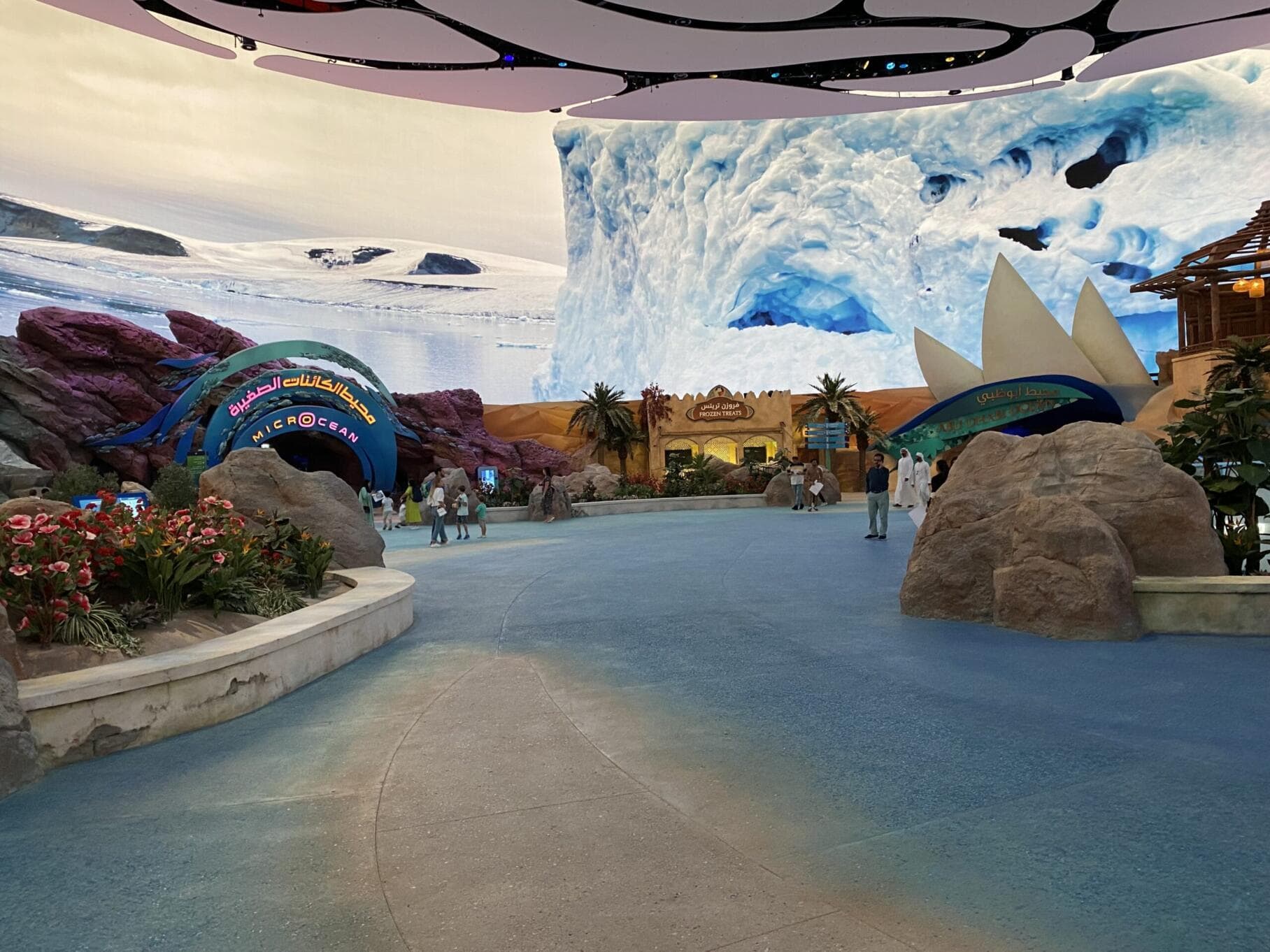 חדש באבו דאבי - SeaWorld "עולם הים" 🌊 אקווריום ענק עם פארק | דובאי